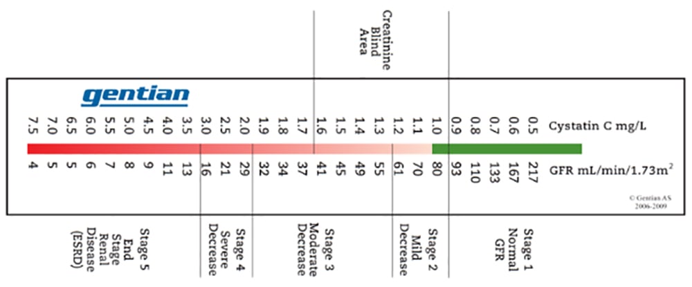 Cystatin C as a marker for GFR